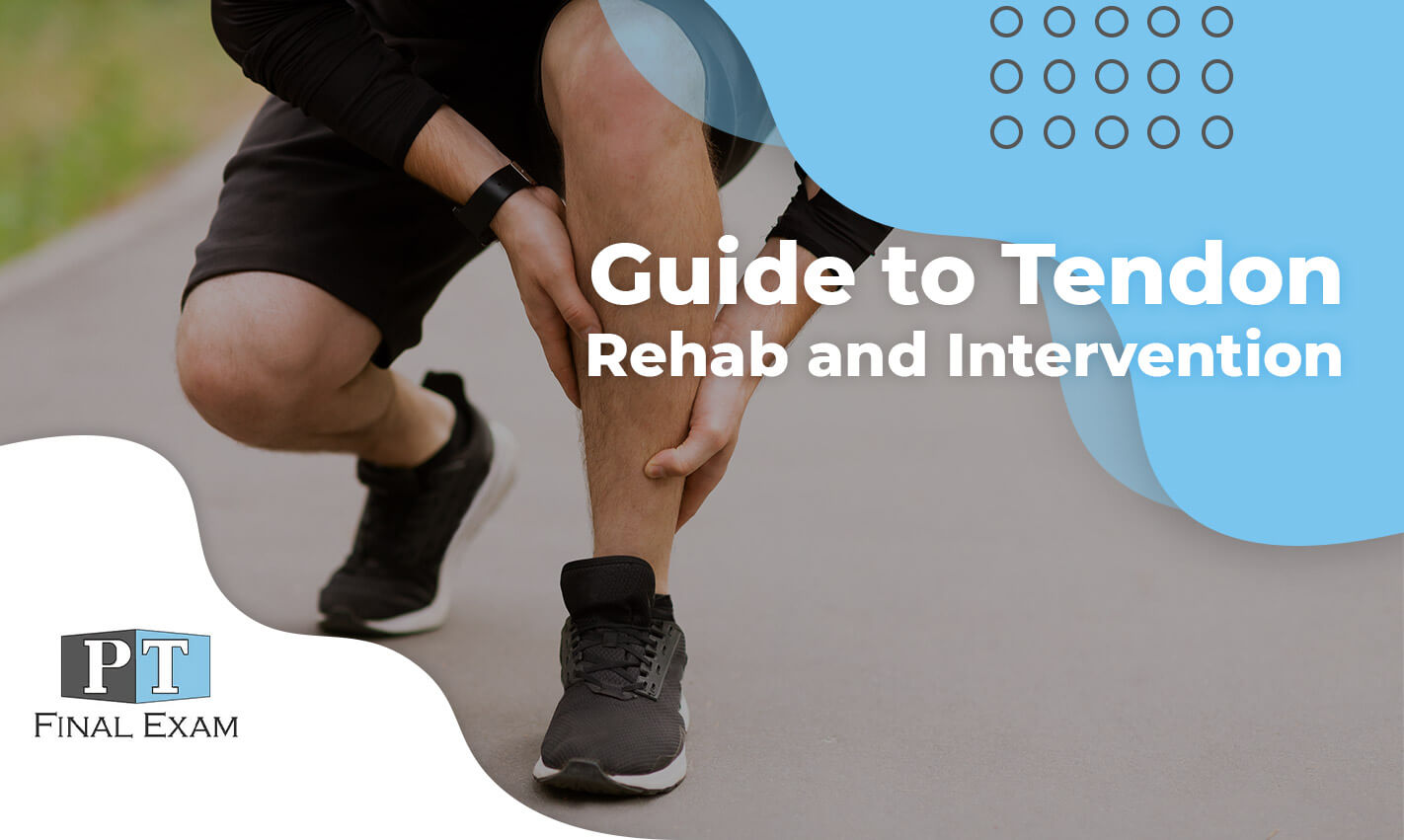 Guide to Tendon Rehab and Intervention - PT Final Exam